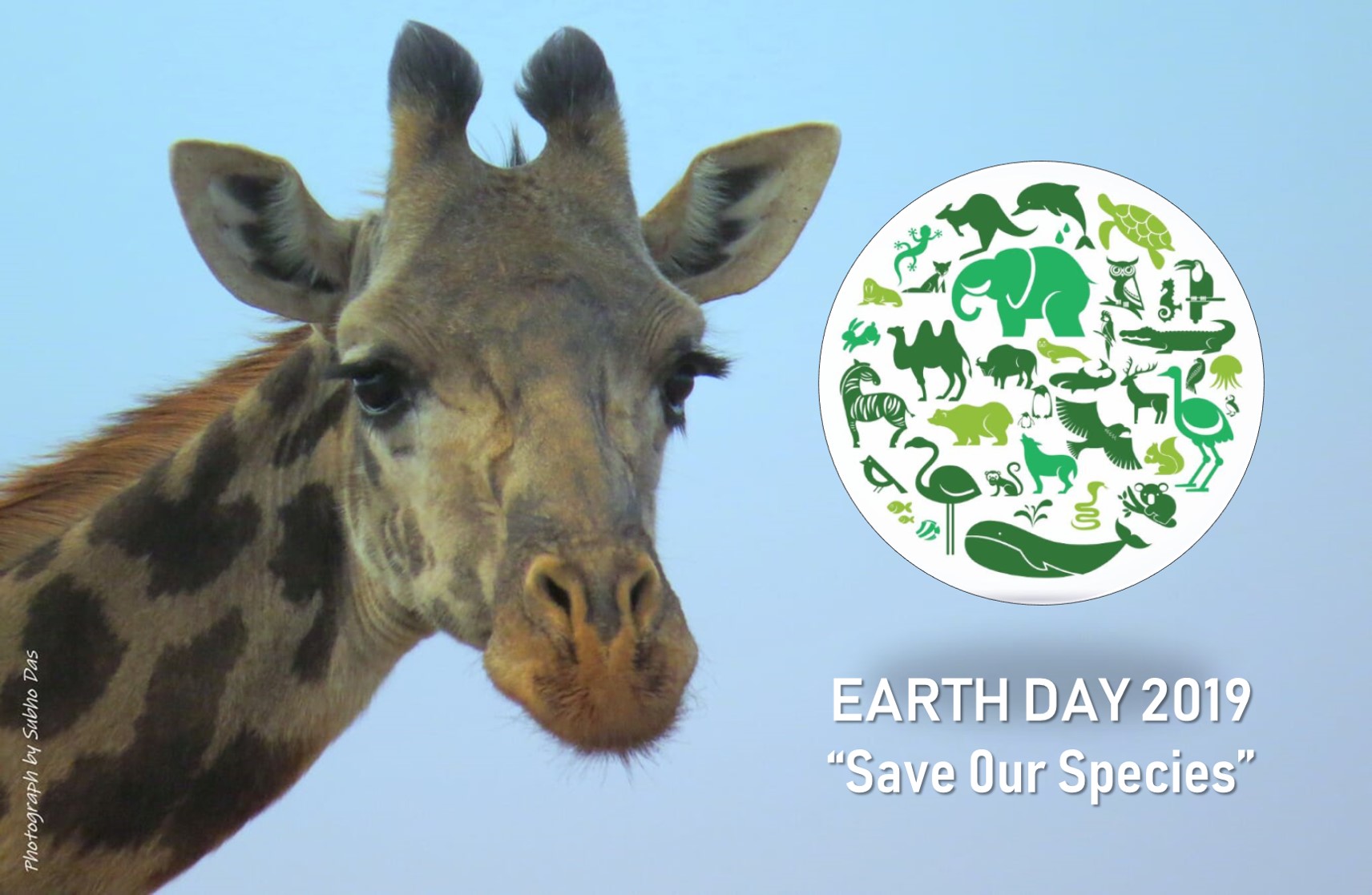 Earth Day 2019: Time to Vow for the Protection of Endangered Species ...